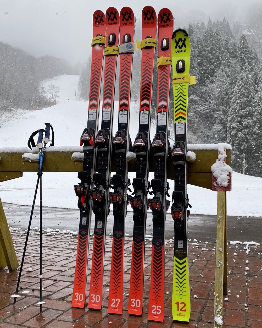 【基礎からわかる】アルペンスキーで欲しいGS板について【徹底解説】